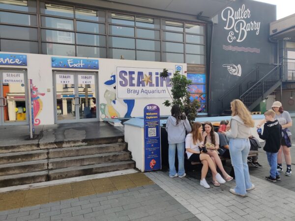 4f in Bray – Tuesday – Welcome to Bilingual Junior High School!