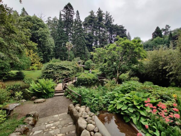 4f in Bray – Saturday – Welcome to Bilingual Junior High School!